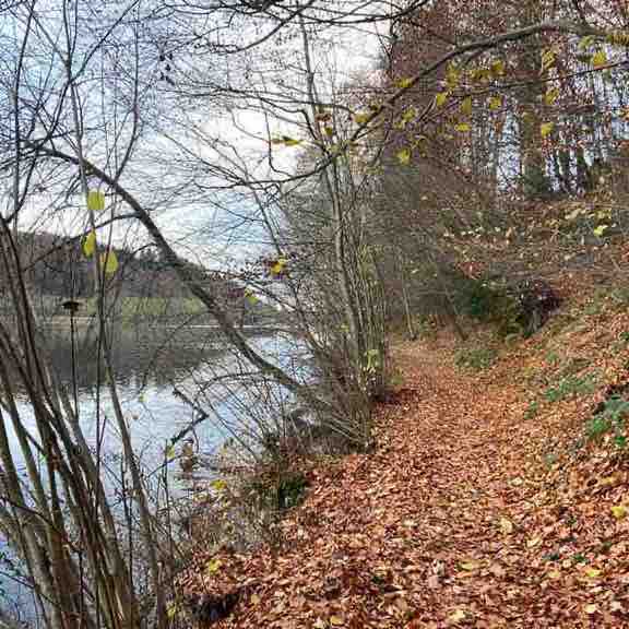 Rotsee Luzern Sendero - Lucerna, Suiza | Pacer