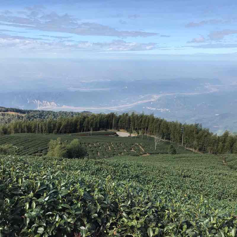 Yunling Hill (Dongbi Mountain Villa Departure Lane to Shanshan Trail ...