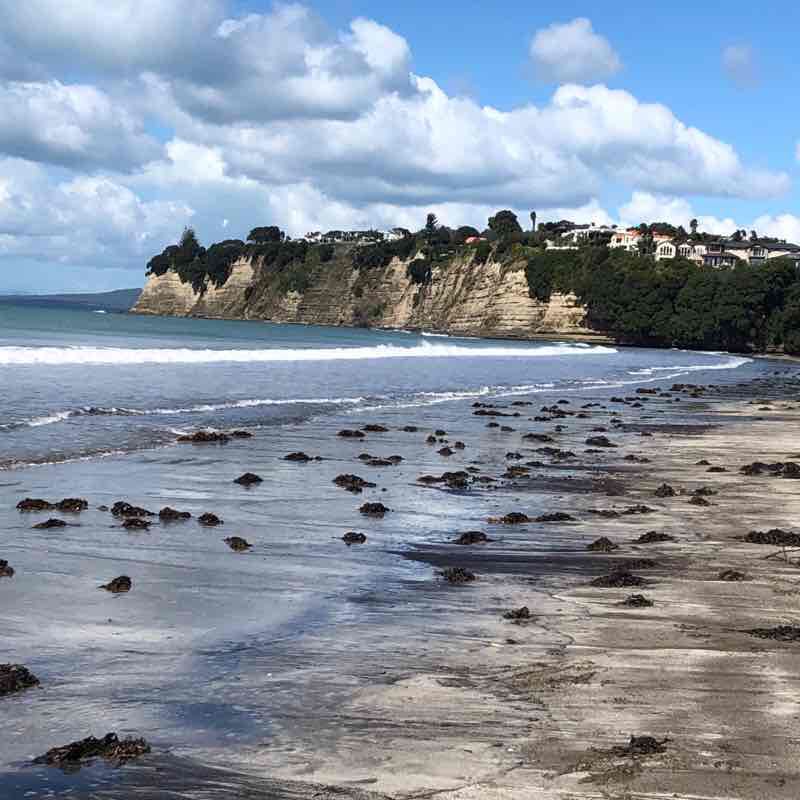 Long bay reserve Walk Trail - Albany, Auckland Region, New Zealand | Pacer