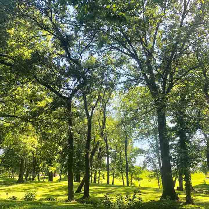 Paul C. Wehner Senior Memorial Park in Missouri | Walking Map