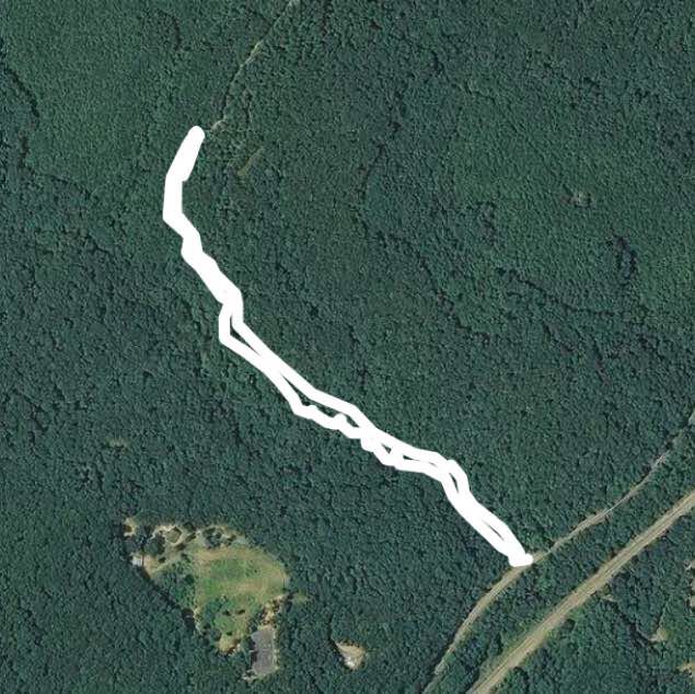 falls hollow trail Walk - Swoope, Virginia, USA | Pacer