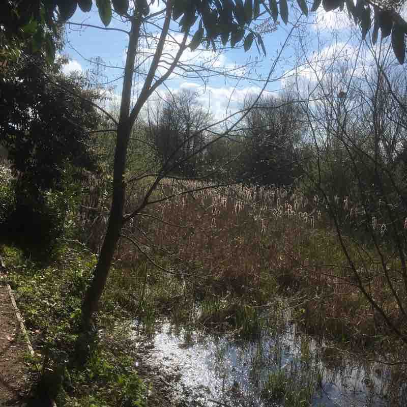 woolston park up to thelwall viaduct and back via paddington meadows ...