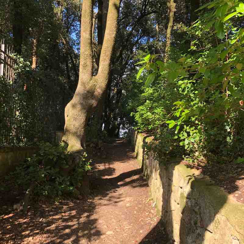 Sarteano Walk Trail - Province of Siena, Italy | Pacer