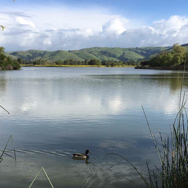 Lake Elizabeth in Fremont in California | Walking Map