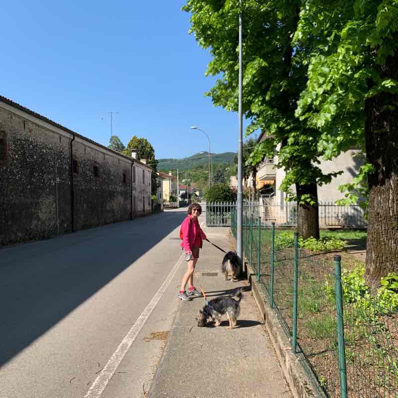 Path 3 - S.Tomio di Mali-Monte Piano Walk Trail - Monte di Malo ...