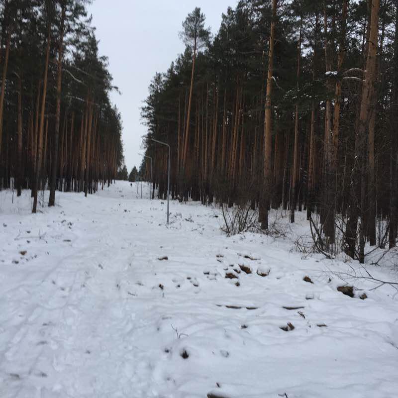 Тропа здоровья Берёзовский Sendero - Berezovsky, Sverdlovsk, Rusia | Pacer