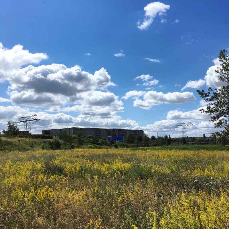 Wall path V Walk Trail - Berlin, Germany | Pacer