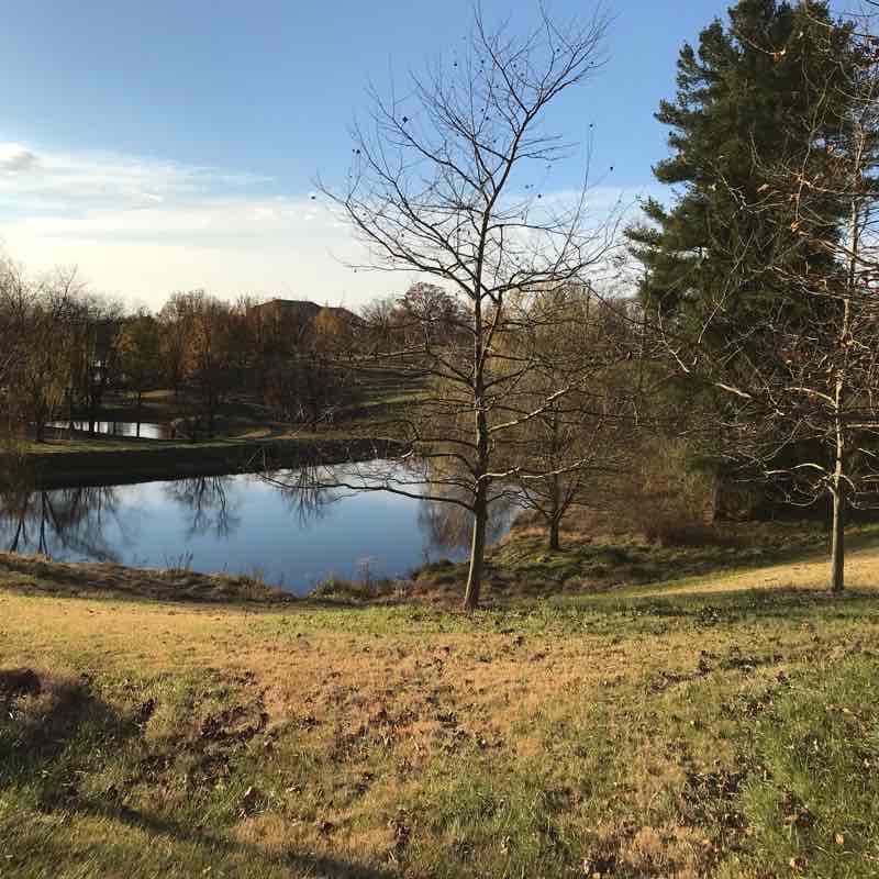 Sentara Martha Jefferson park in Virginia | Walking Map