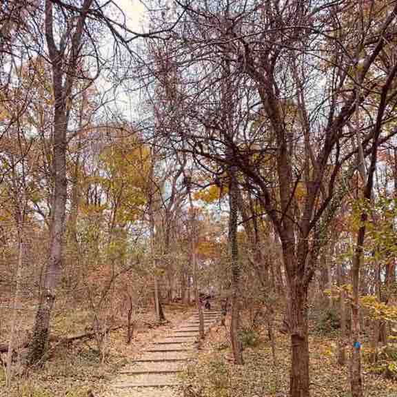 Inwood Hill Park in New York | Walking Map