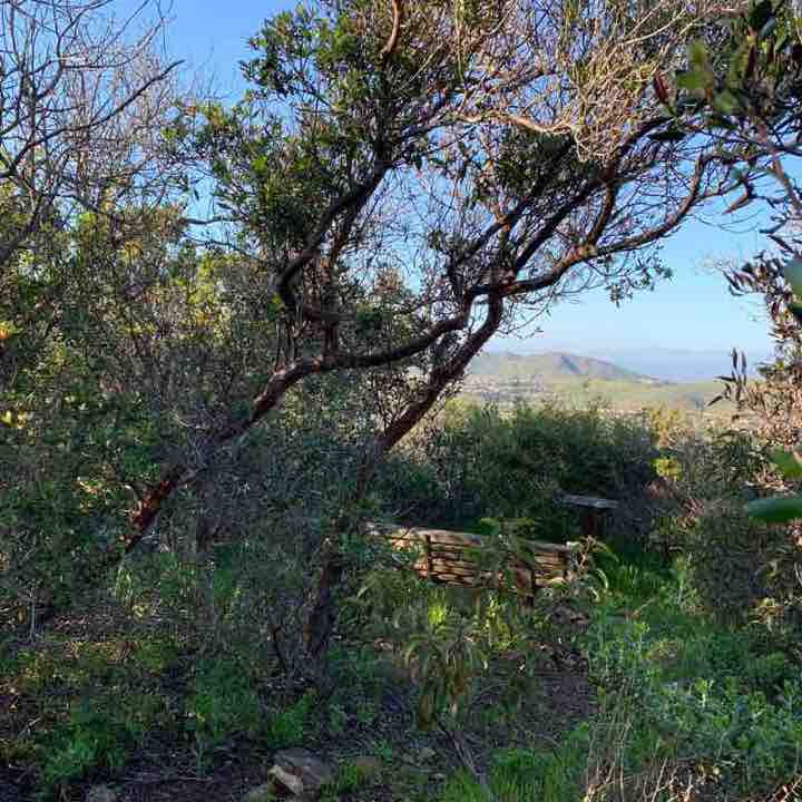 Nighthawk + Miner’s Loop Hike Trail - San Diego, California, USA | Pacer