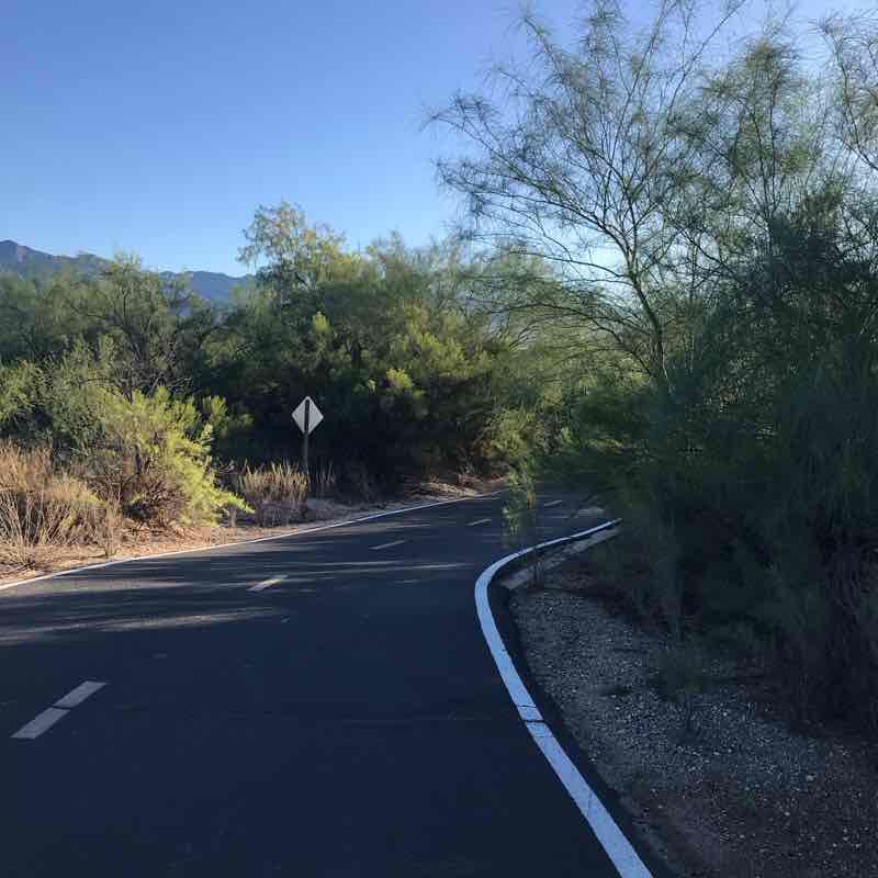 Rillito river walk Trail - Tucson, Arizona, USA | Pacer