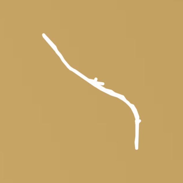 Pantano River Walk from Michael Perry Park - Tucson, Arizona, USA | Pacer