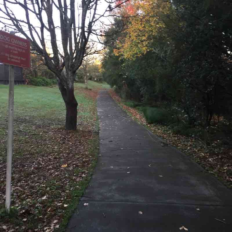 1/2 Marathon walk Trail - Hamilton, Waikato Region, New Zealand | Pacer