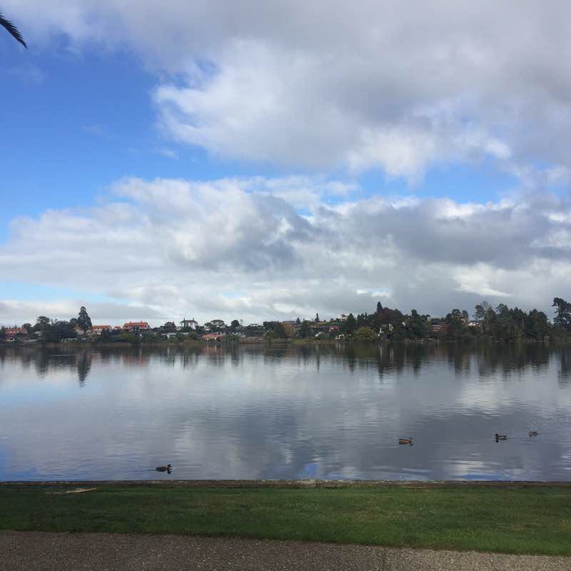 Lake Rotoroa - Hamilton, Nuova Zelanda Percorso a piedi - Waikato | Pacer