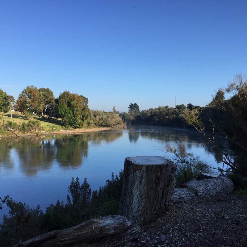 Huntington - paths and bridges Walk Trail - Hamilton, Waikato Region ...