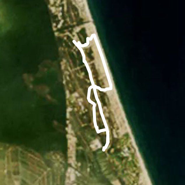 Devesa of El Saler Walk Trail - Pobles del Sud, Valencia, Spain | Pacer