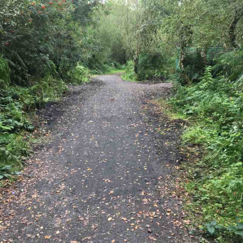 Clare Lake Loop | Walking Map