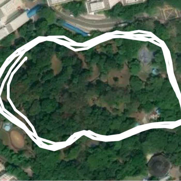 Bukit Timah Nature Reserve Run Trail - Singapore, North Region | Pacer