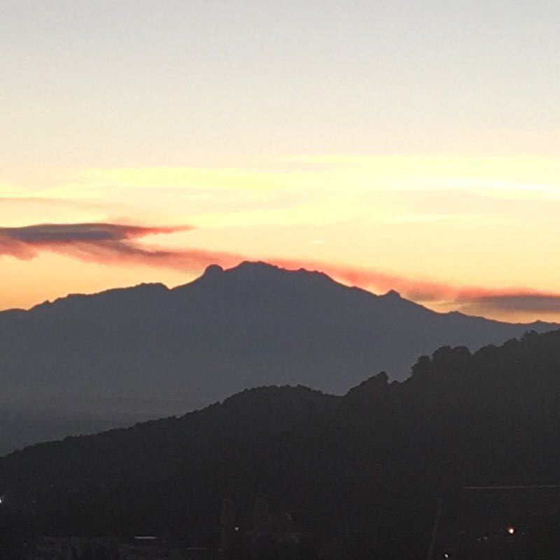 Santa Rosa X. Desert of the Lions Walk Trail - Mexico City, Mexico | Pacer