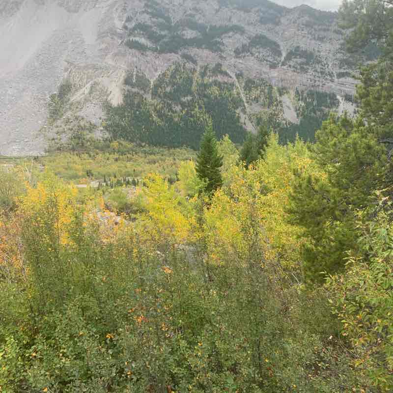 Seton YMCA in Alberta | Walking Map