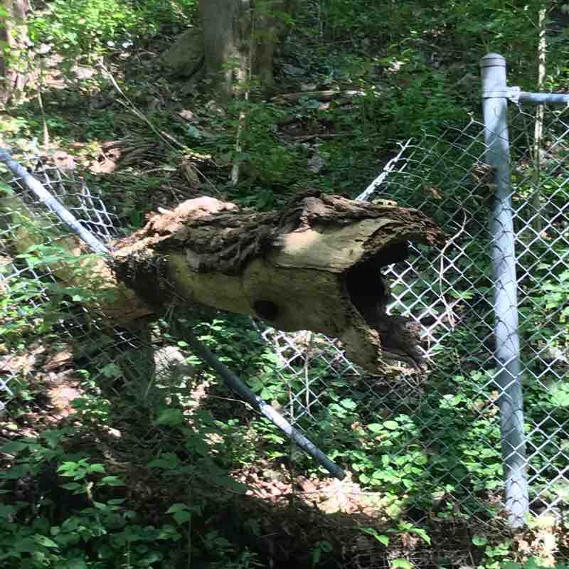 Circuito Heath Street Sendero - Toronto, Ontario, Canadá | Pacer