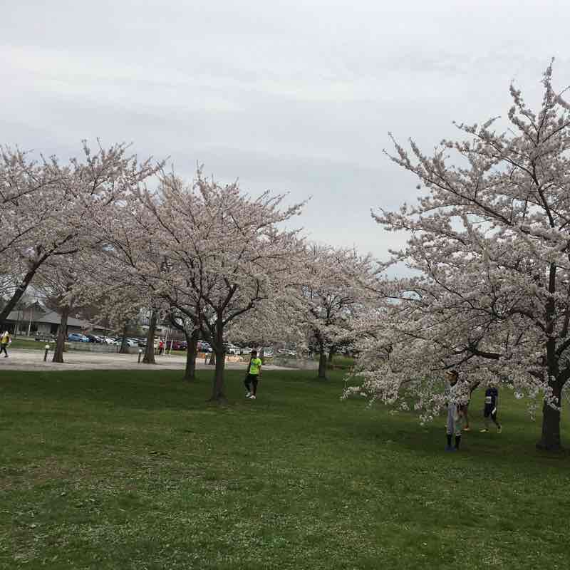 Hanamaki Playground Run Trail - Hanamaki Shi, Japan | Pacer