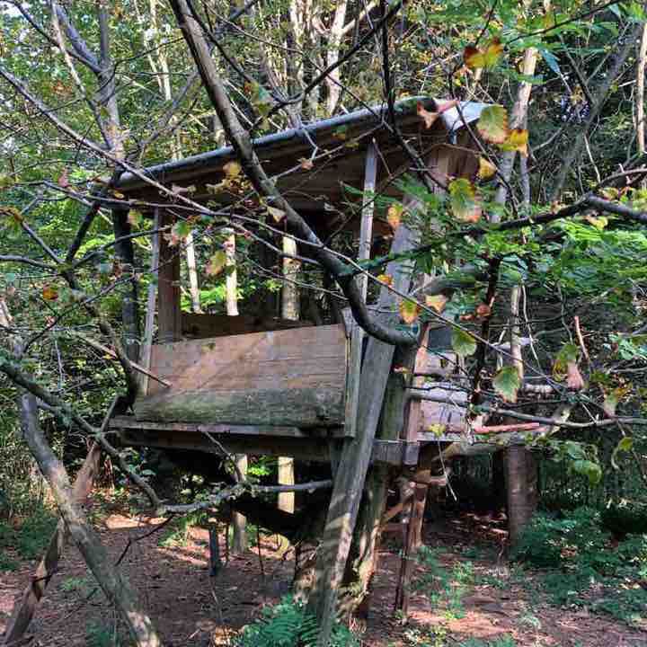 Waldegg-Matthof through the Bireggwald Walk Trail - Horw, Canton of ...