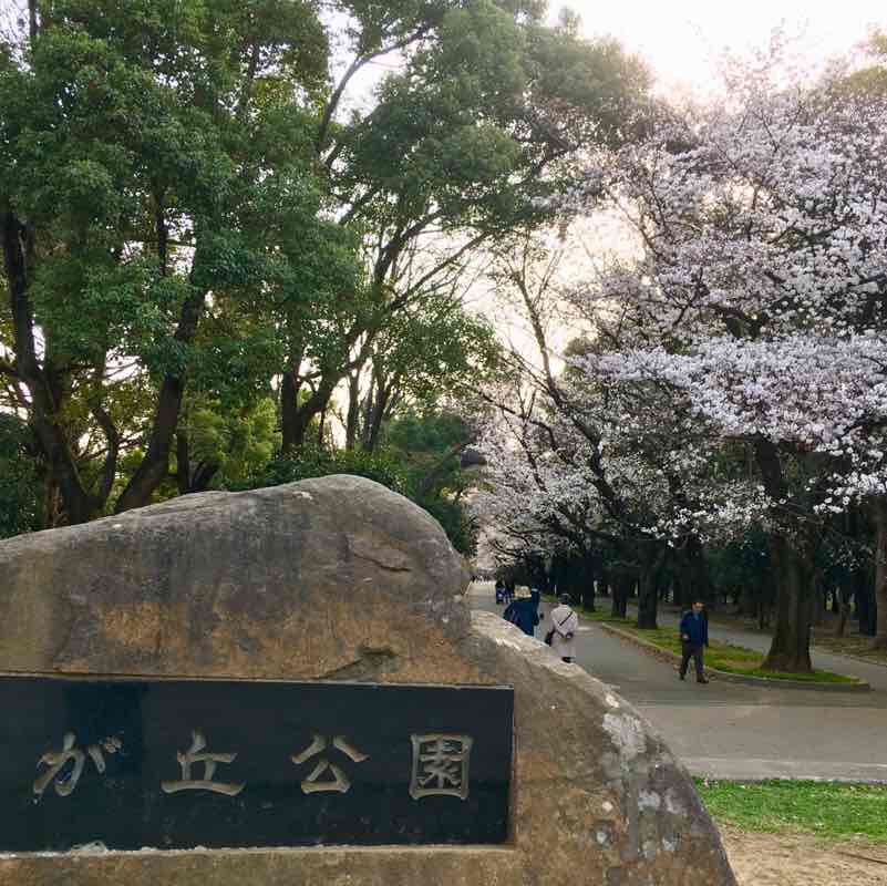都立光が丘公園 | Walking Map