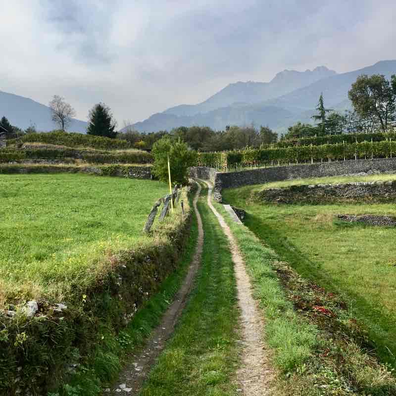 Strolling in the Berzo countryside Hike Trail - Berzo Inferiore ...