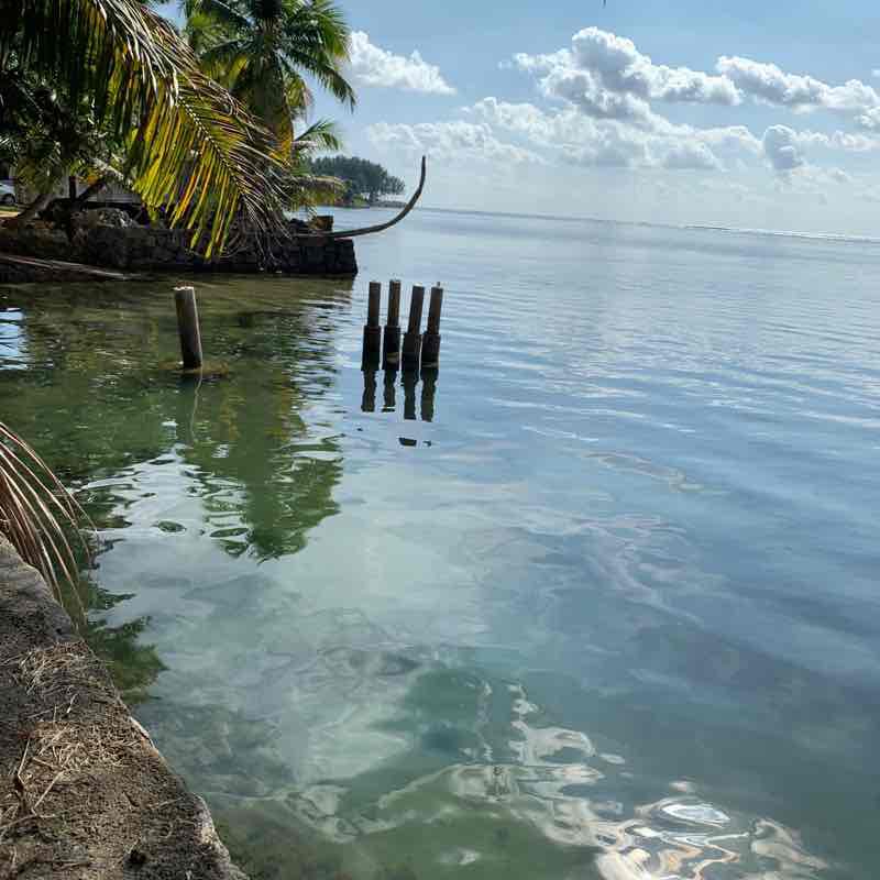 Anse Aux Pins Run Trail - Au Cap, Seychelles | Pacer