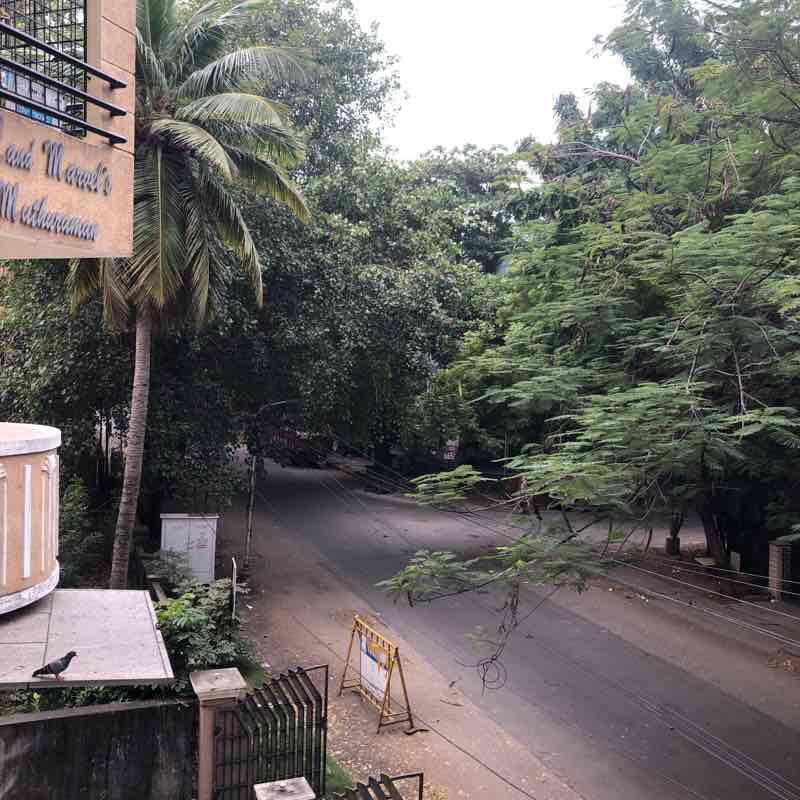 Adayar walk | Walking Map