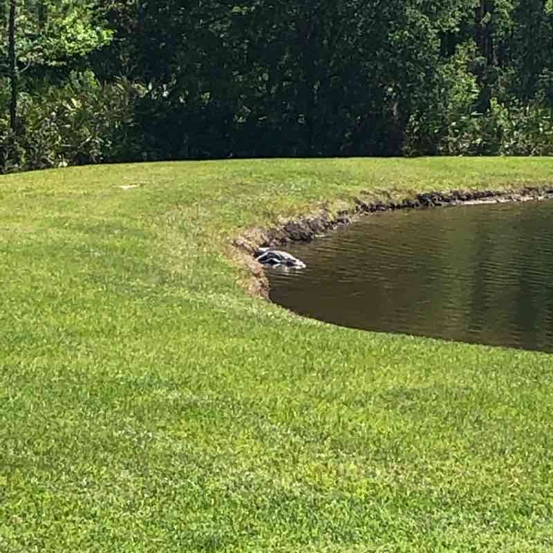 Solivita | Walking Map