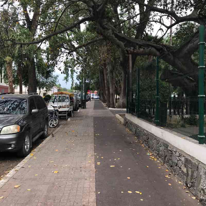 Paseo 17 | Walking Map