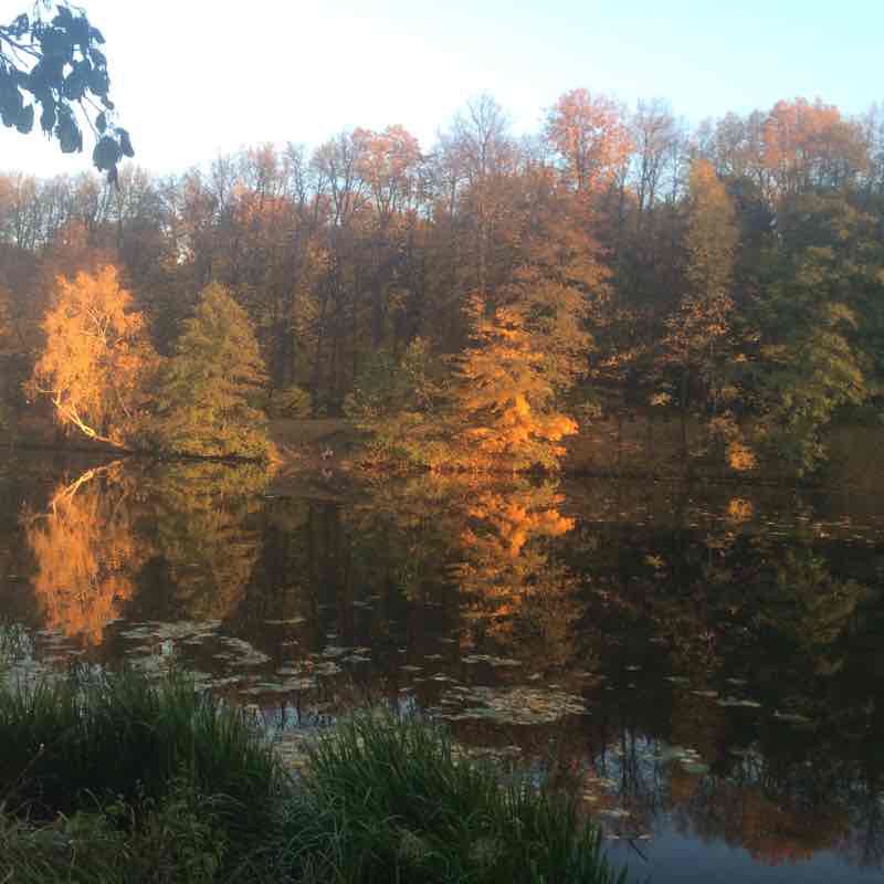 Kuzminki Park in Moskva | Walking Map