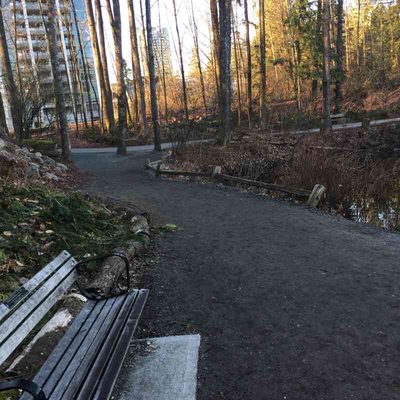 Lafarge Lake | Walking Map