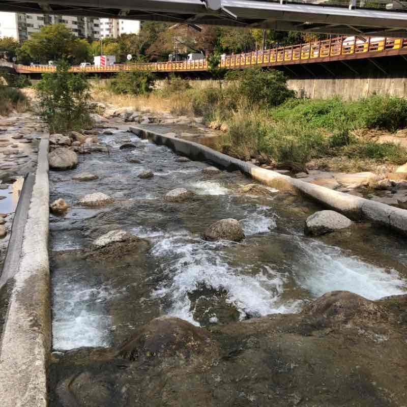 Hwamyeong Daecheoncheon-Barefoot Library Walk Trail - Buk-gu, Busan ...