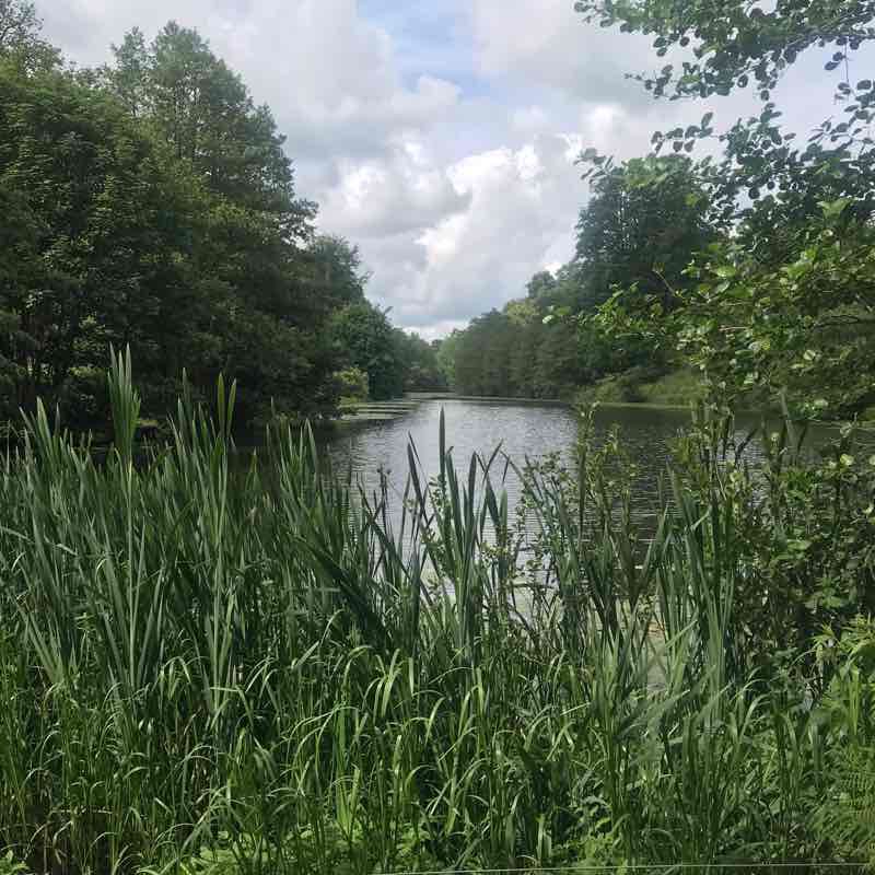 Calke Abbey walks in England | Walking Map