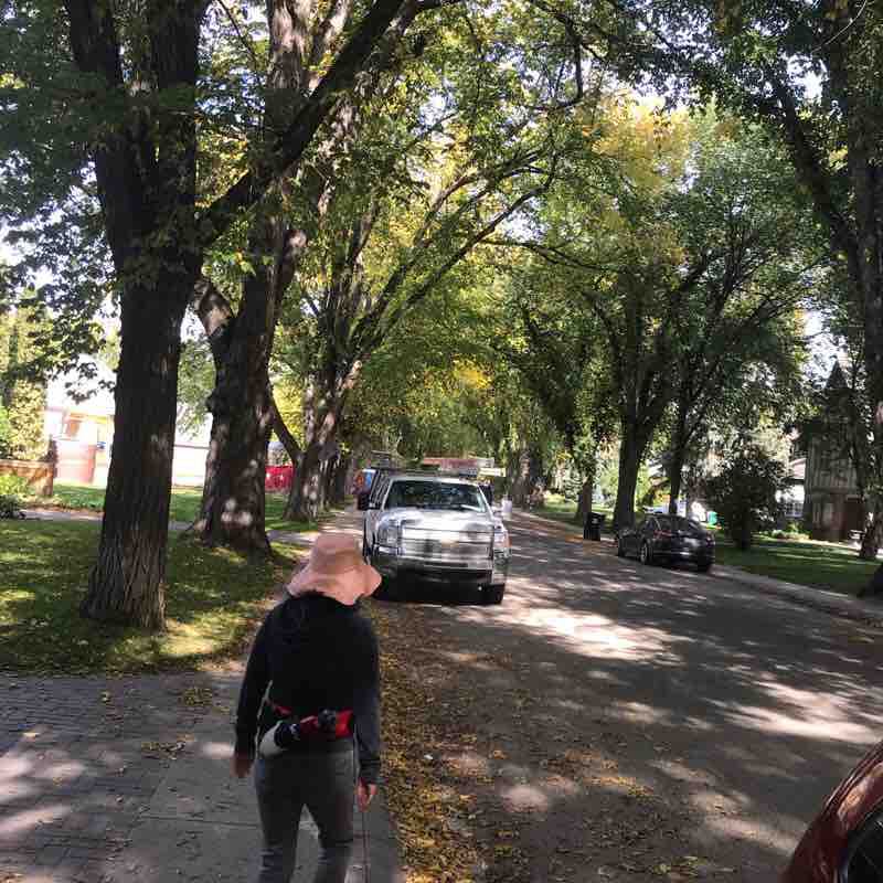 Meewasin trail Walk - Meewasin Valley Authority, Saskatchewan, Canada ...