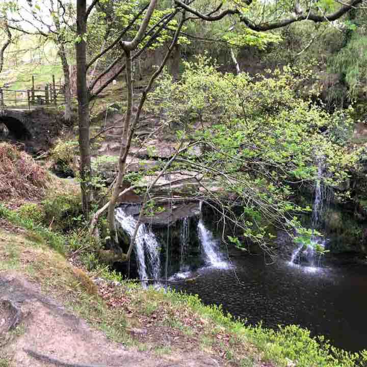 Hardcastle Falls Walk Trail - Wadsworth, Hebden Bridge, England | Pacer