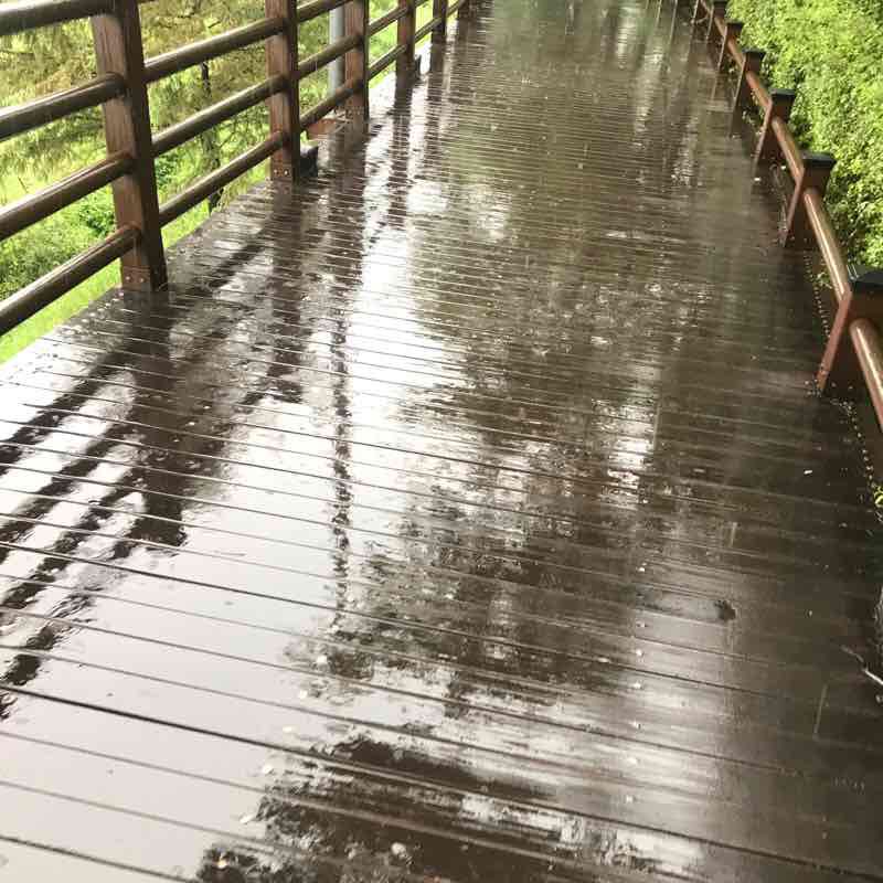 Gwanggyosan Mountain and Reservoir Rainy morning walk Trail - Suwon-si ...