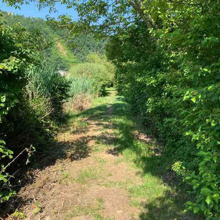 Lago di Fimon | Walking Map