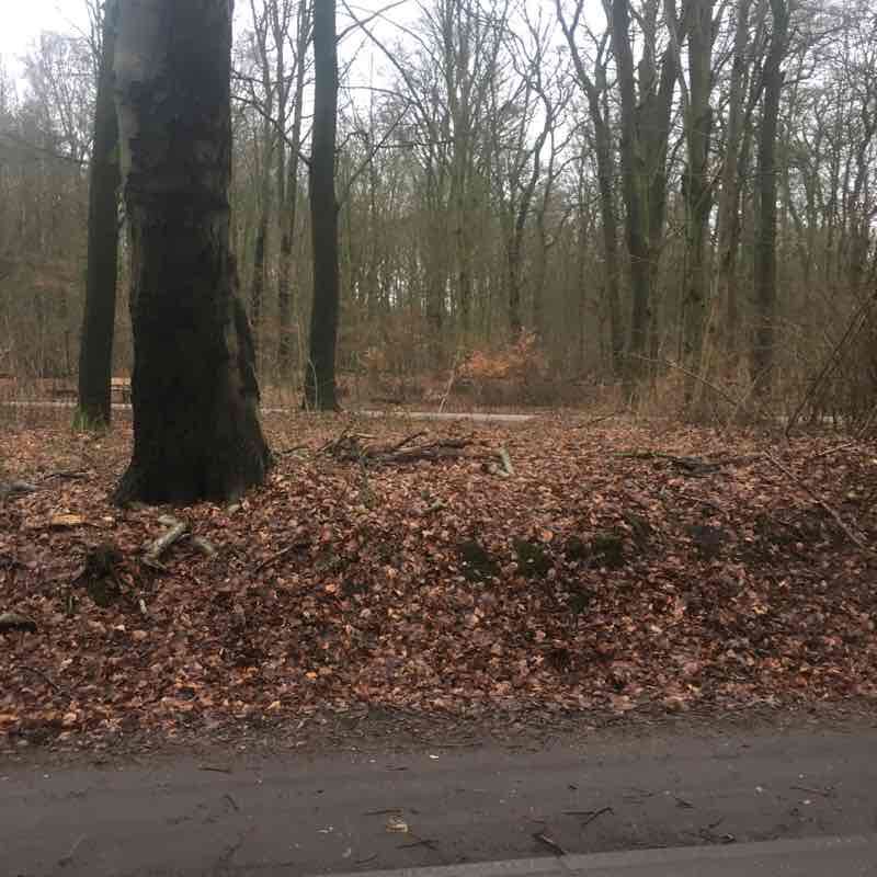 Niendorf enclosure Walk Trail - Hamburg, Germany | Pacer