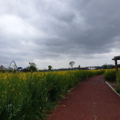 Harumam Walk Trail - Gwangsan-gu, Gwangju, South Korea | Pacer