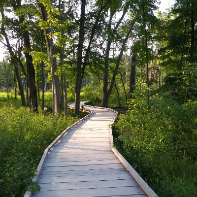 Rocky River Reservation in Ohio | Walking Map