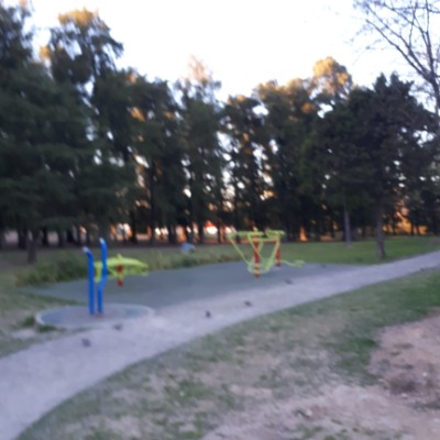 Avellaneda Park in spring! Walk - Comuna 9, Buenos Aires, Argentina | Pacer