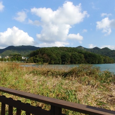 Geumjeong-gu Office Hoedong Suwon Suyeong River Hot Springs Walk Trail ...