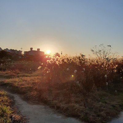Dongcheon-dongcheon Road Walk - Seo-gu, Gwangju, South Korea | Pacer