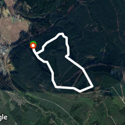 Fochabers woods Walk Trail - Scotland | Pacer