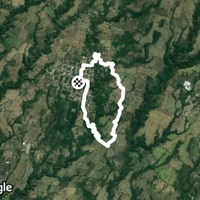 Cedar in suchitlan Walk Trail - Suchitlán, Colima, Mexico | Pacer