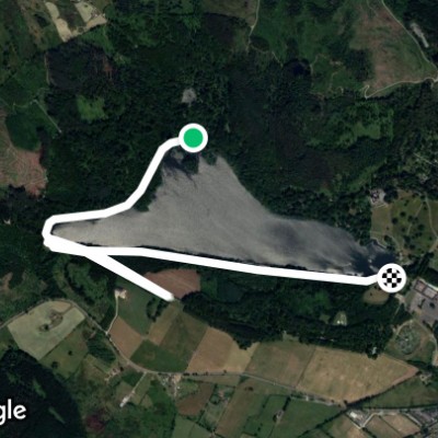 Castlewellan Forest Park Walk - Northern Ireland | Pacer